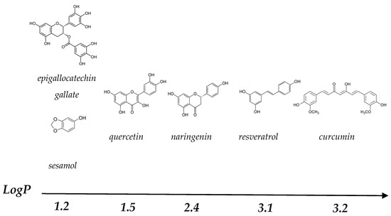 Protein Chemical Formula