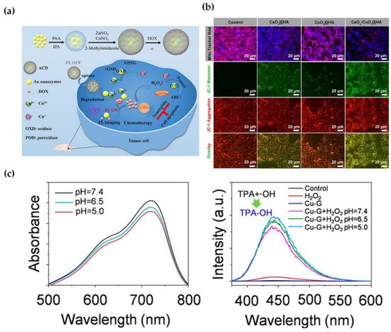 Recent Advances in Cancer Therapeutic Copper-Based Nanomaterials for ...