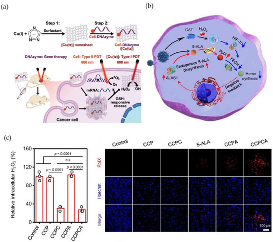 Recent Advances in Cancer Therapeutic Copper-Based Nanomaterials for ...