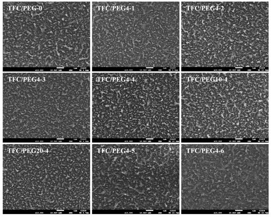 Effect of Polyethylene Glycol Additive on the Structure and Performance ...