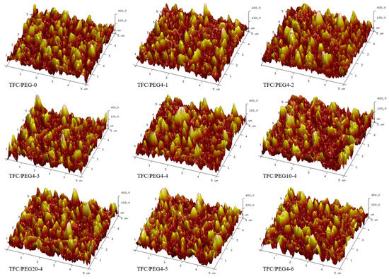 Effect of Polyethylene Glycol Additive on the Structure and Performance ...
