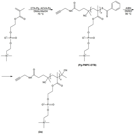 Phosphorus-Containing Polymers as Sensitive Biocompatible Probes for ...