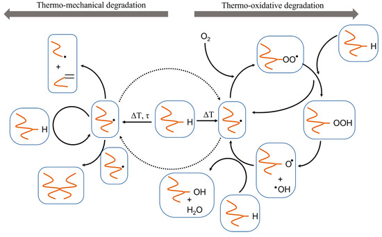 Molecular Pathways for Polymer Degradation during Conventional ...