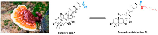Ganoderic Acid A and Its Amide Derivatives as Potential Anti-Cancer ...