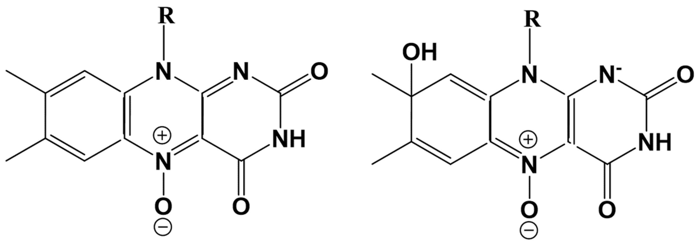 Molecules | Free Full-Text | QM/MM Modeling of the Flavin ...