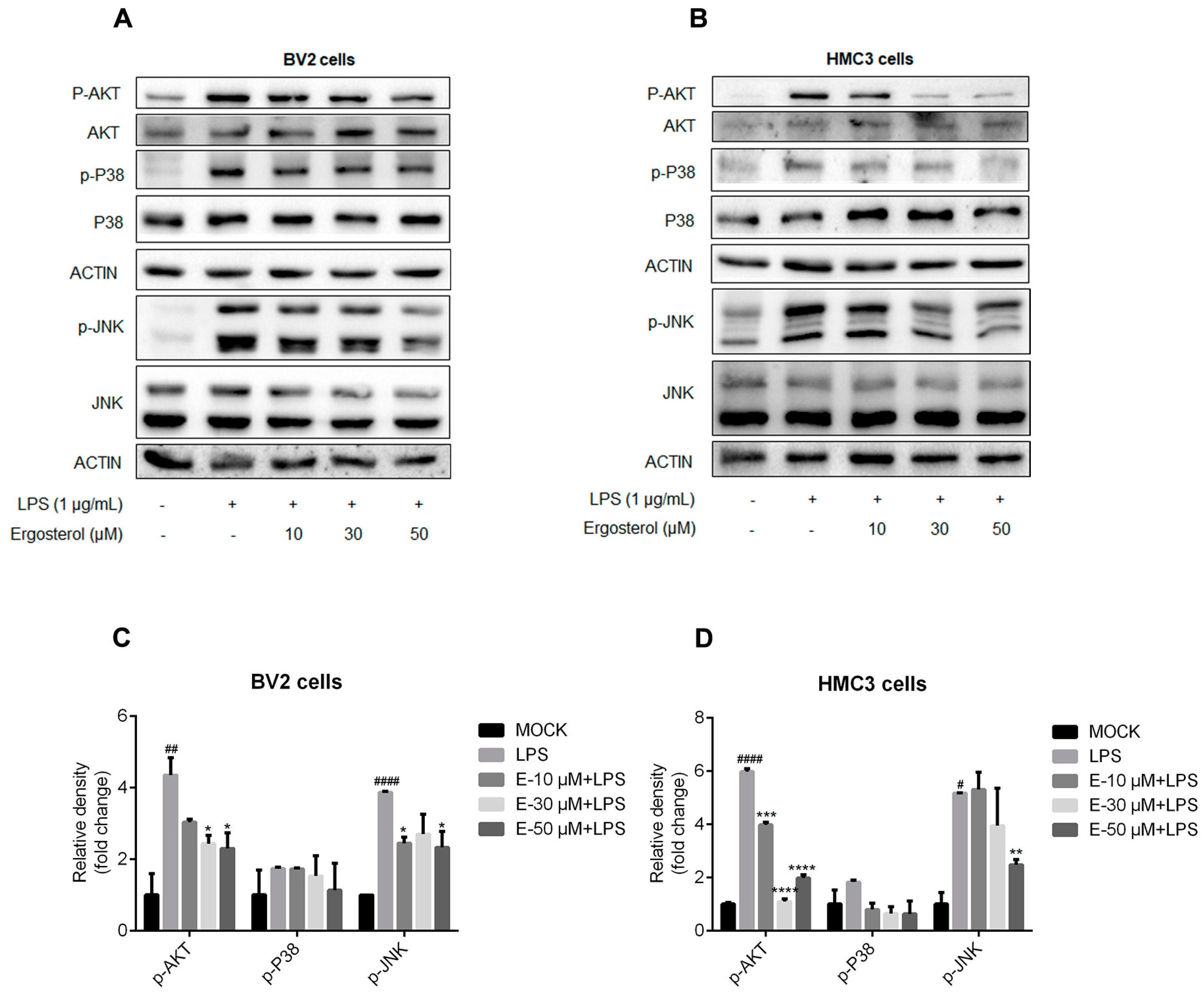Ergosterol Isolated from Antrodia camphorata Suppresses LPS-Induced Neuroinflammatory Responses ...