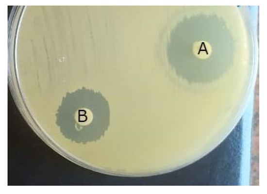Fungal Secondary Metabolites/Dicationic Pyridinium Iodide Combinations ...