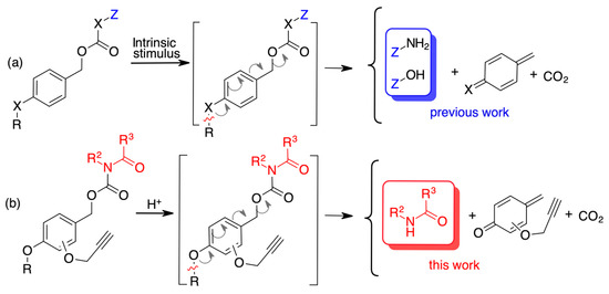 A Self-Immolative Linker for the pH-Responsive Release of Amides