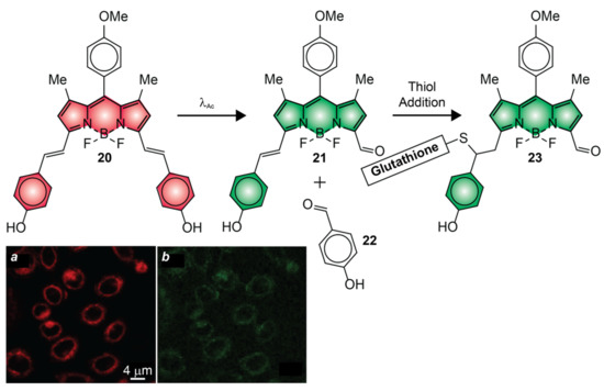 Photoactivatable BODIPYs for Live-Cell PALM