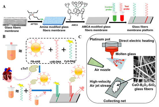 Recent Progress in Modifications, Properties, and Practical ...