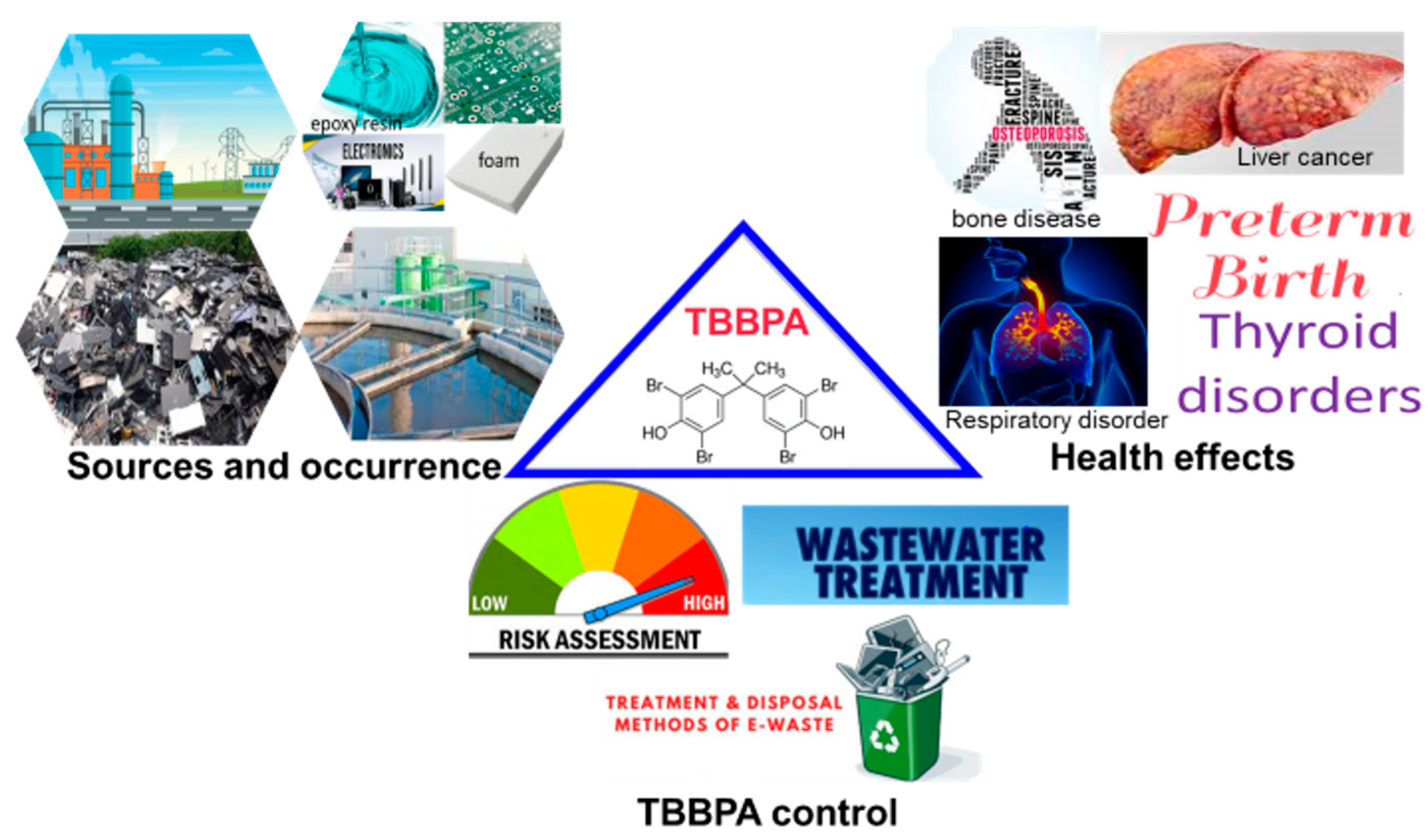 A Review on Tetrabromobisphenol A: Human Biomonitoring, Toxicity ...