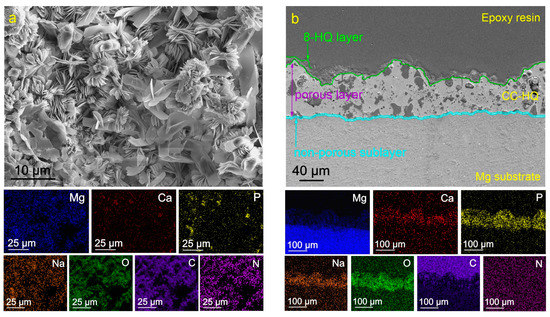 A Superior Corrosion Protection of Mg Alloy via Smart Nontoxic Hybrid ...