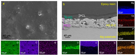 A Superior Corrosion Protection of Mg Alloy via Smart Nontoxic Hybrid ...