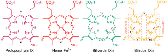 Insights into the Structures of Bilirubin and Biliverdin from ...