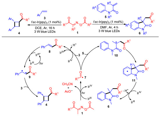 Recent Advances in Molecule Synthesis Involving C-C Bond Cleavage of ...