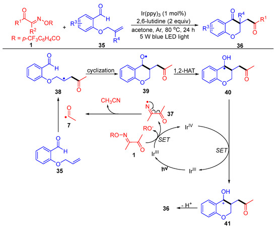 Recent Advances in Molecule Synthesis Involving C-C Bond Cleavage of ...