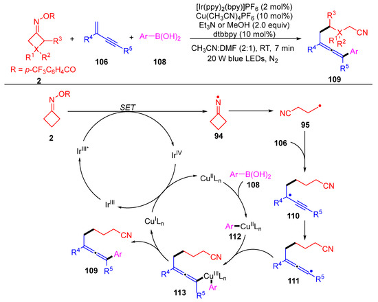 Recent Advances in Molecule Synthesis Involving C-C Bond Cleavage of ...
