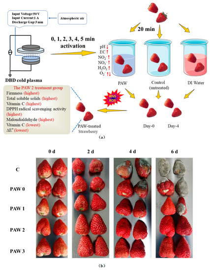 Physicochemical Properties of Plasma-Activated Water and Its Control Effects on the Quality of ...