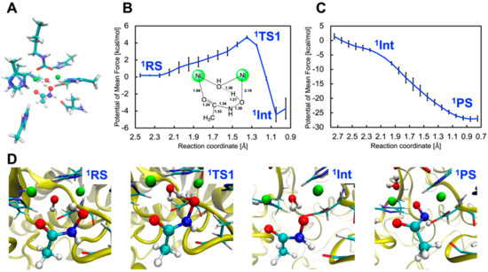 Unraveling Binding Mechanism and Stability of Urease Inhibitors: A QM ...