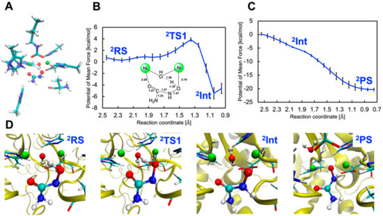 Unraveling Binding Mechanism and Stability of Urease Inhibitors: A QM ...