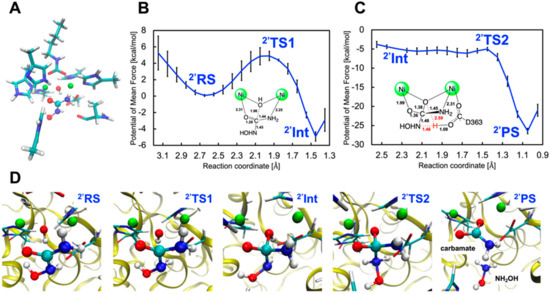 Unraveling Binding Mechanism and Stability of Urease Inhibitors: A QM ...