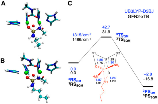 Unraveling Binding Mechanism and Stability of Urease Inhibitors: A QM ...