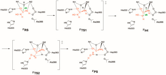 Unraveling Binding Mechanism and Stability of Urease Inhibitors: A QM ...