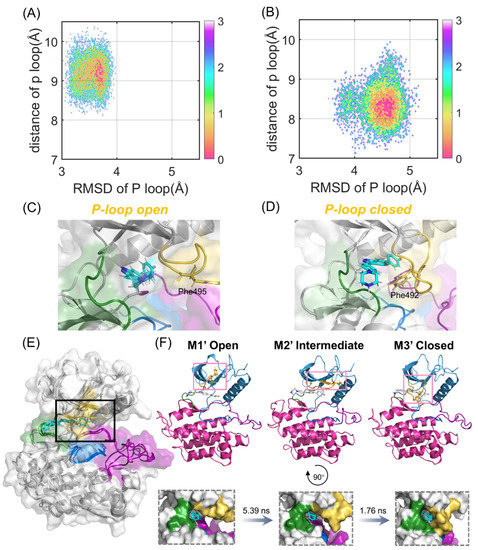 Decoding the Conformational Selective Mechanism of FGFR Isoforms: A Comparative Molecular ...