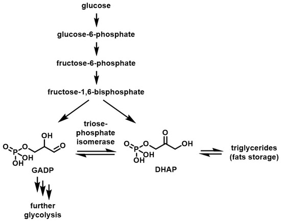 Dihydroxyacetone: A User Guide for a Challenging Bio-Based Synthon