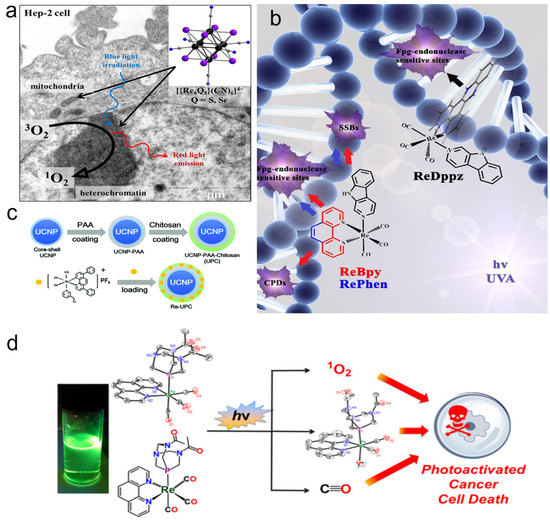 Recent Development of Rhenium-Based Materials in the Application of ...