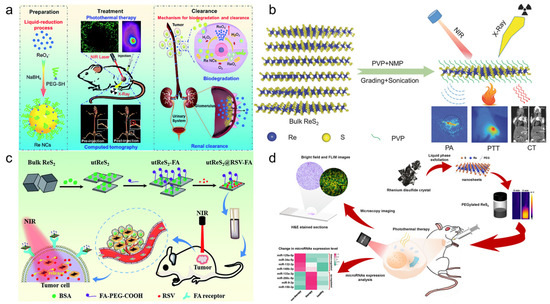 Recent Development of Rhenium-Based Materials in the Application of ...