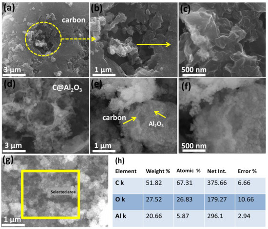 Porous Carbon with Alumina Coating Nanolayer Derived from Biomass and ...
