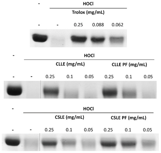 Efficacy of Two Moroccan Cistus Species Extracts against Acne Vulgaris ...