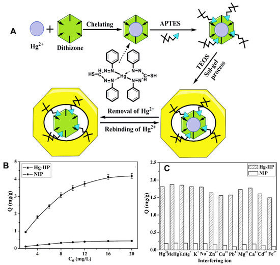 Molecules | Free Full-Text | Ion-Imprinted Polymeric Materials for Selective Adsorption of Heavy ...