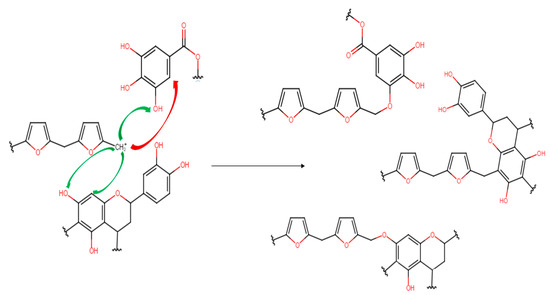 Comparing Condensed and Hydrolysable Tannins for Mechanical Foaming of ...