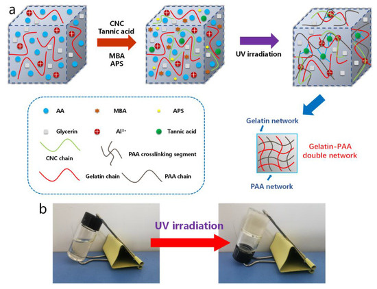 Highly Stretchable, Self-Adhesive, Antidrying Ionic Conductive ...