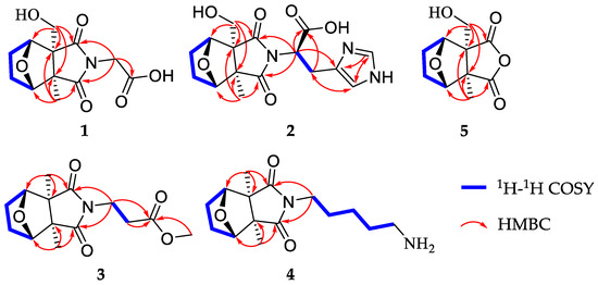 Five New Cantharidin Derivatives from the Insect Mylabris cichorii L ...