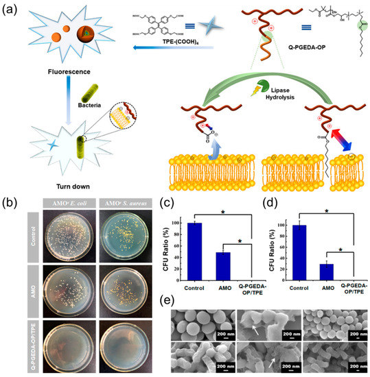 AIEgen-Based Nanomaterials for Bacterial Imaging and Antimicrobial ...
