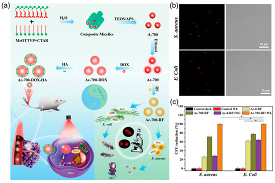 AIEgen-Based Nanomaterials for Bacterial Imaging and Antimicrobial ...