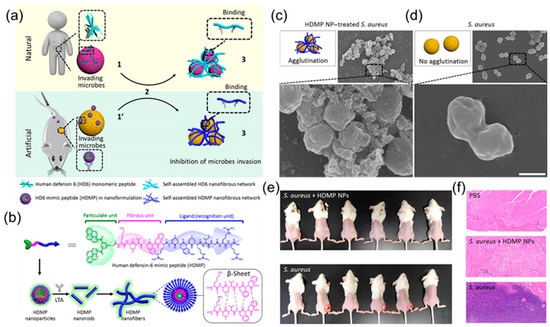 AIEgen-Based Nanomaterials for Bacterial Imaging and Antimicrobial ...