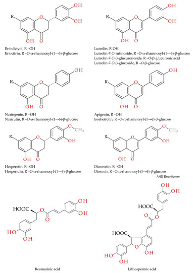 In Vitro Antiglycation and Methylglyoxal Trapping Effect of Peppermint ...