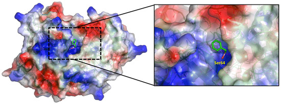 Development of AMBER Parameters for Molecular Simulations of Selected ...