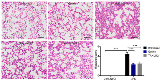 The Protective Effects of Goitrin on LPS-Induced Septic Shock in C57BL ...