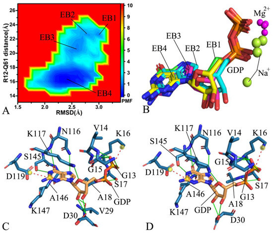 Impacts of Mutations in the P-Loop on Conformational Alterations of ...
