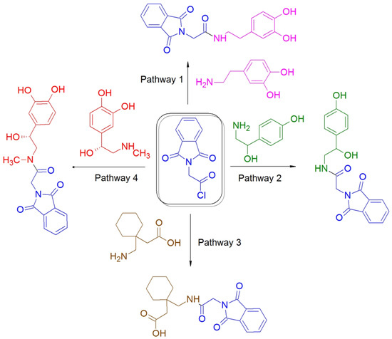 Phthalylglycyl Chloride as a Derivatization Agent for UHPLC-MS/MS ...