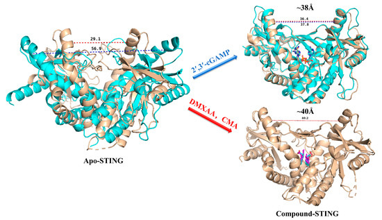 Discovery of Novel STING Inhibitors Based on the Structure of the Mouse ...