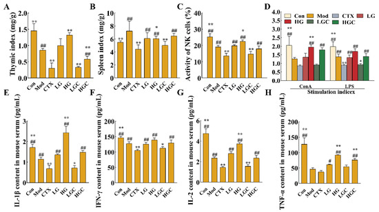 Synergistic Antitumor Effect of Grifola frondose Polysaccharide—Protein ...