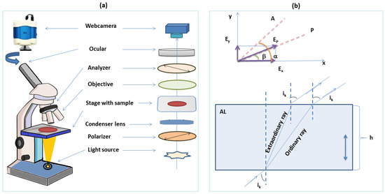 Review on Optical Methods Used to Characterize the Linear Birefringence ...