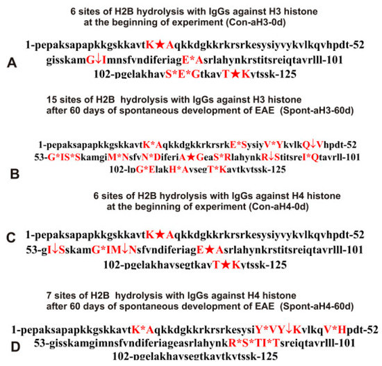 Molecules | Free Full-Text | EAE of Mice: Enzymatic Cross Site-Specific ...