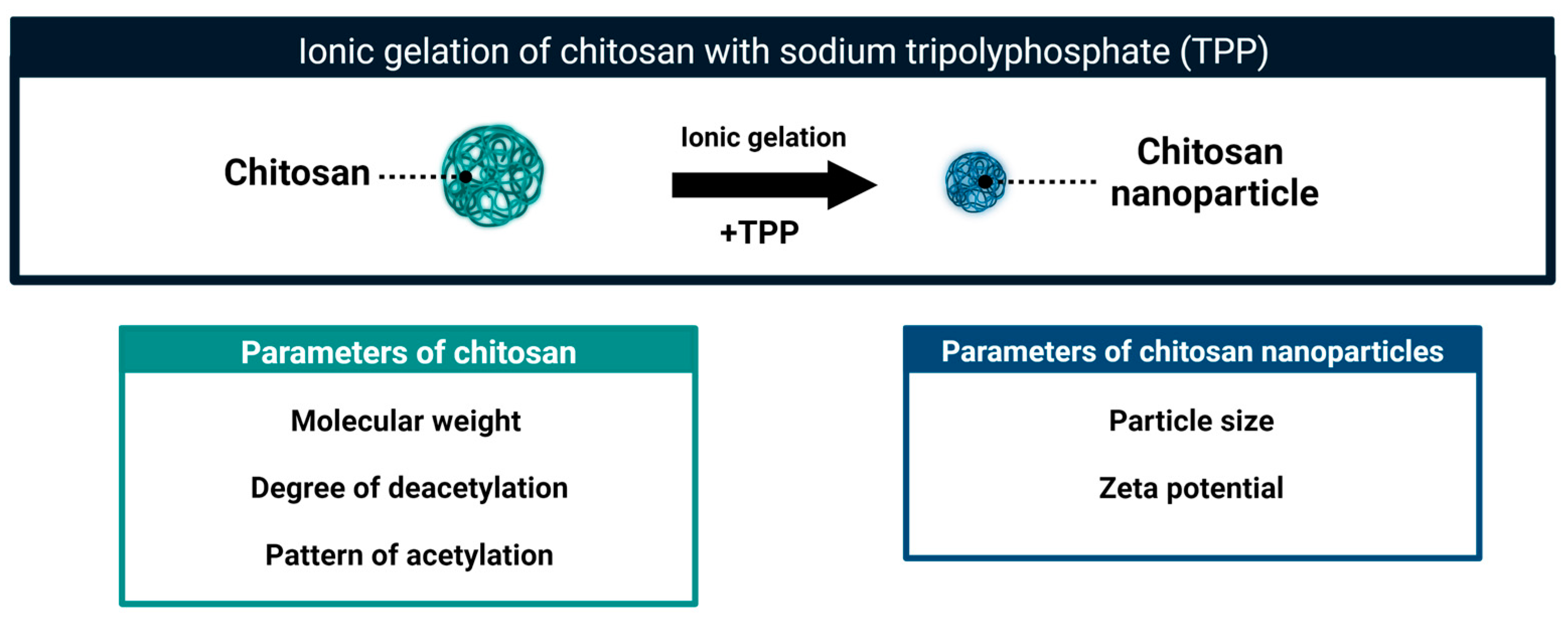 Molecules Free Full Text Chitosan And Chitosan Nanoparticles